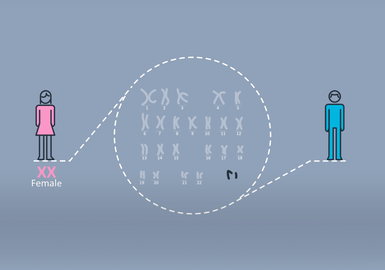 Preimplantation Genetic Testing (PGT) in Vancouver, British Columbia | PCRM